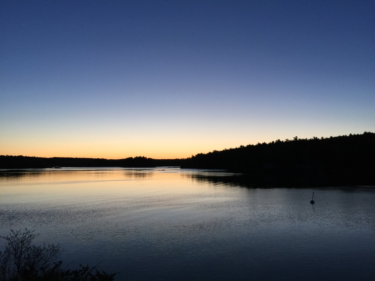 About – Elliot D. Rosen, Consulting Executive